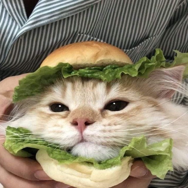 Produk JMS.ID | Shopee Indonesia