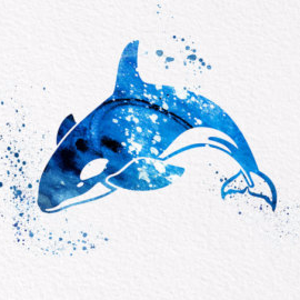 Produk Blue Orca | Shopee Indonesia