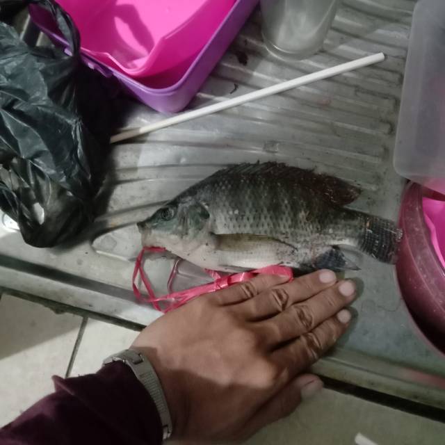 Produk inisial N | Shopee Indonesia