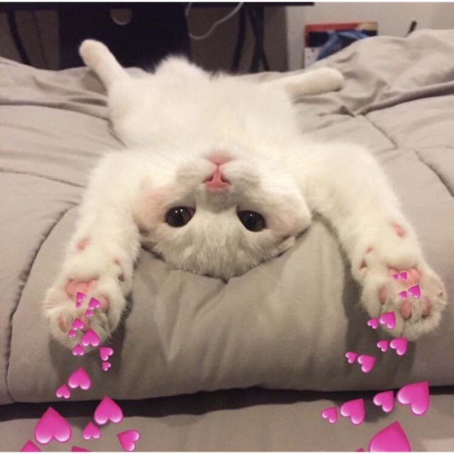 Produk orbeads. | Shopee Indonesia