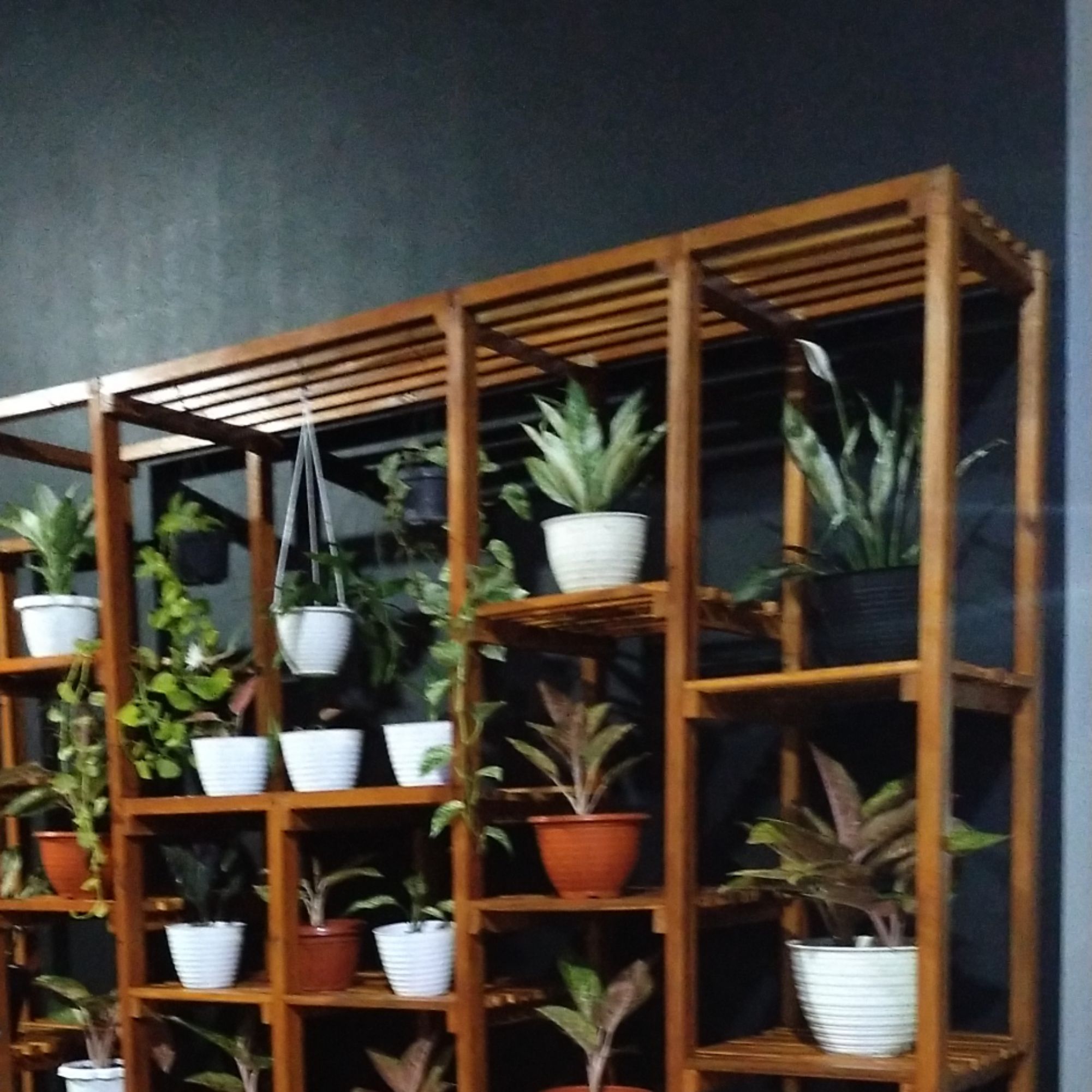 Produk JAMU MANJUR | Shopee Indonesia