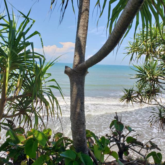 Produk Pasaribu_Official | Shopee Indonesia