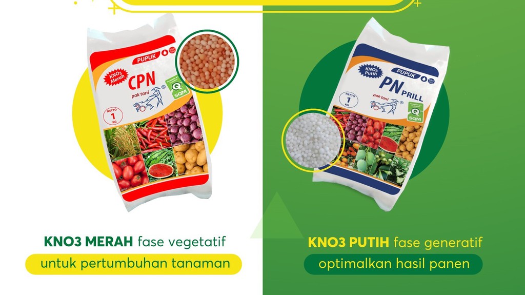 Produk Toko_SAM | Shopee Indonesia