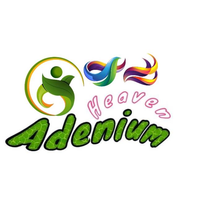 Produk Adenium_Heaven | Shopee Indonesia