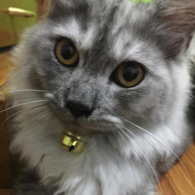 Produk MEDIA BARCODE | Shopee Indonesia