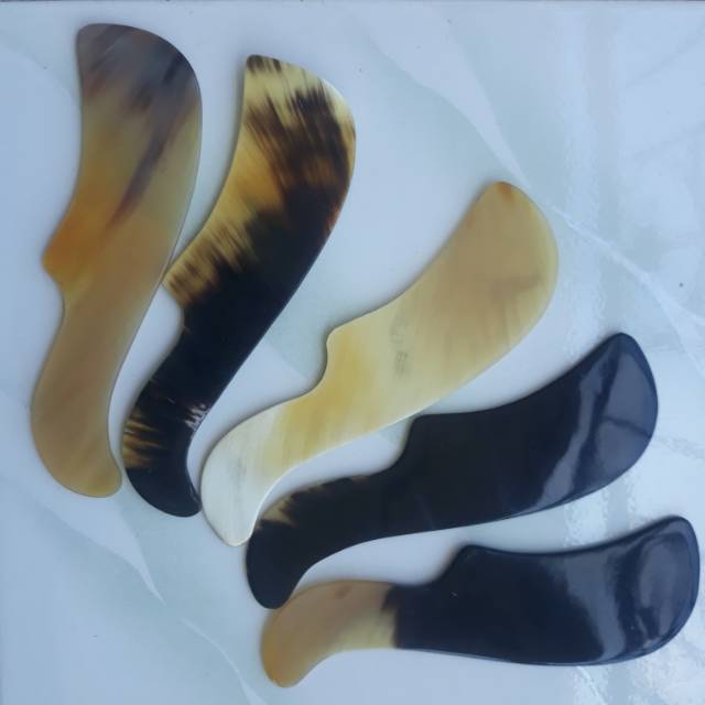 Produk Toko Aasaf | Shopee Indonesia