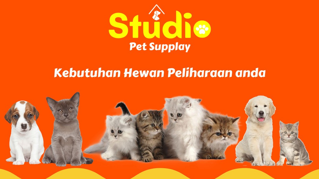 Produk Pet Studio | Shopee Indonesia