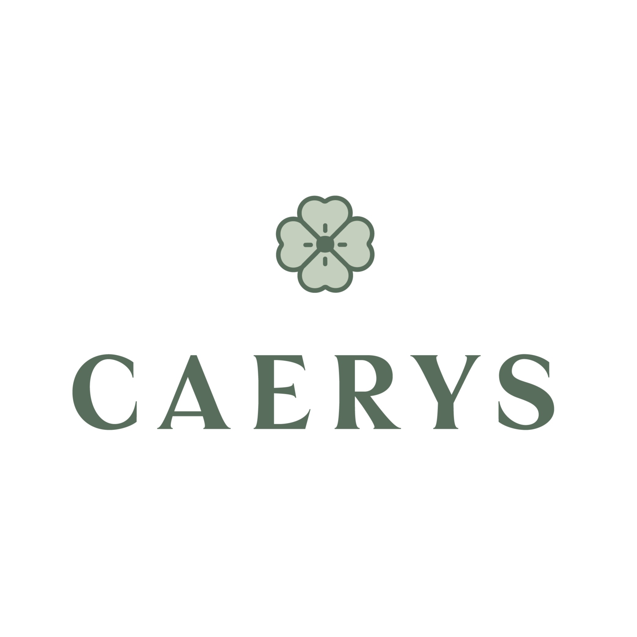 Produk Caerys Studio | Shopee Indonesia
