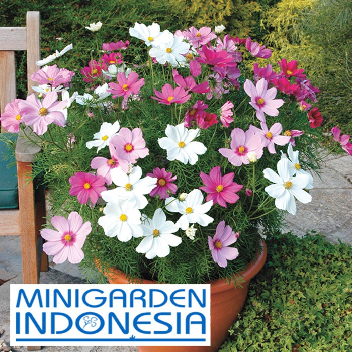Produk Minigarden Indonesia ( MGI ) | Shopee Indonesia