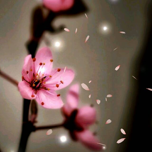 Produk Youke Official Shop | Shopee Indonesia