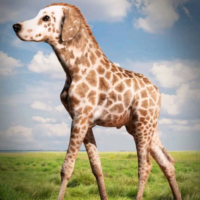 Produk Fiara store official | Shopee Indonesia