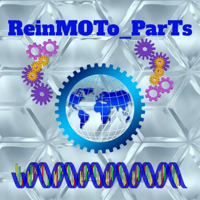 Produk Reinmoto Parts1612 Shopee Indonesia