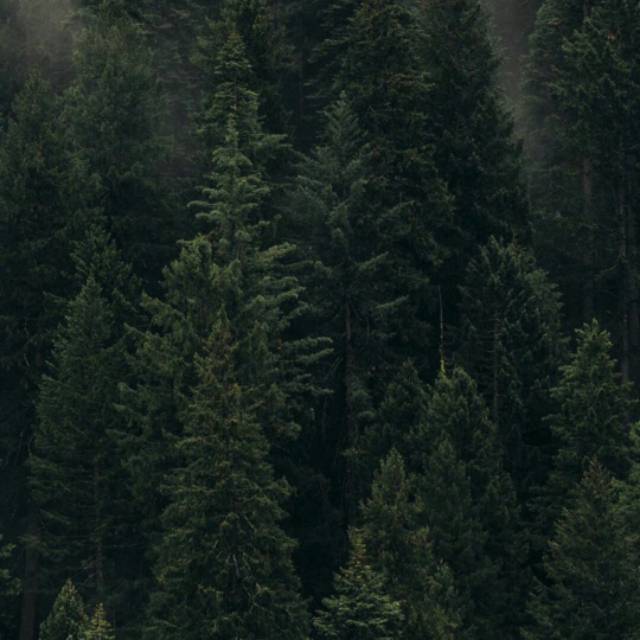 Produk Rafla_id | Shopee Indonesia