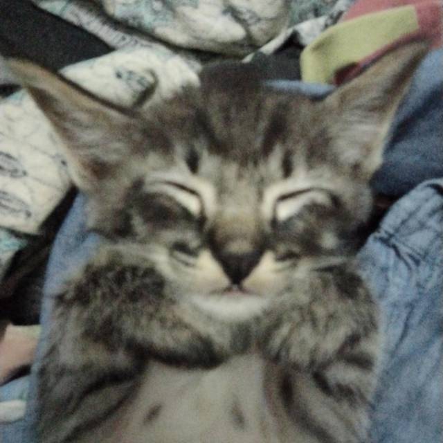 Produk nadia_asaffa | Shopee Indonesia