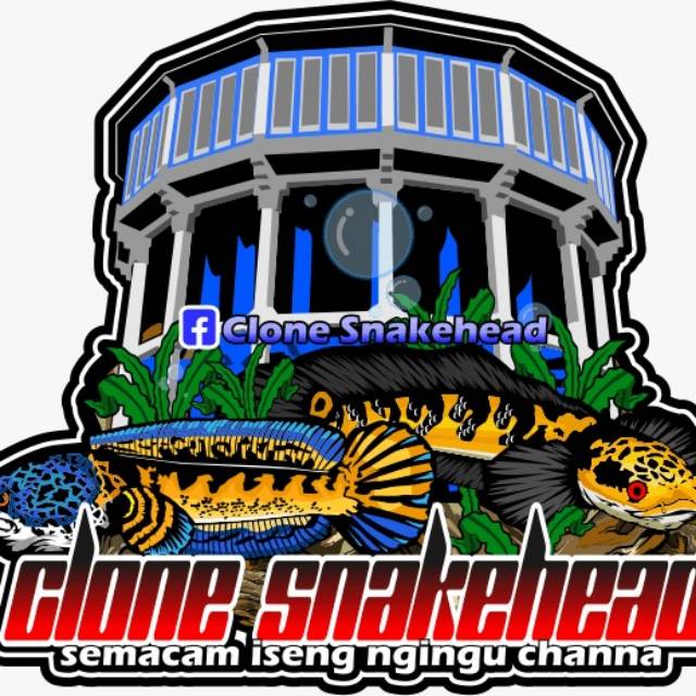 Produk Clone Snakehead | Shopee Indonesia