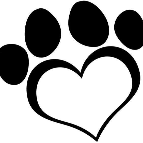 Produk Ariel Vet Care | Shopee Indonesia