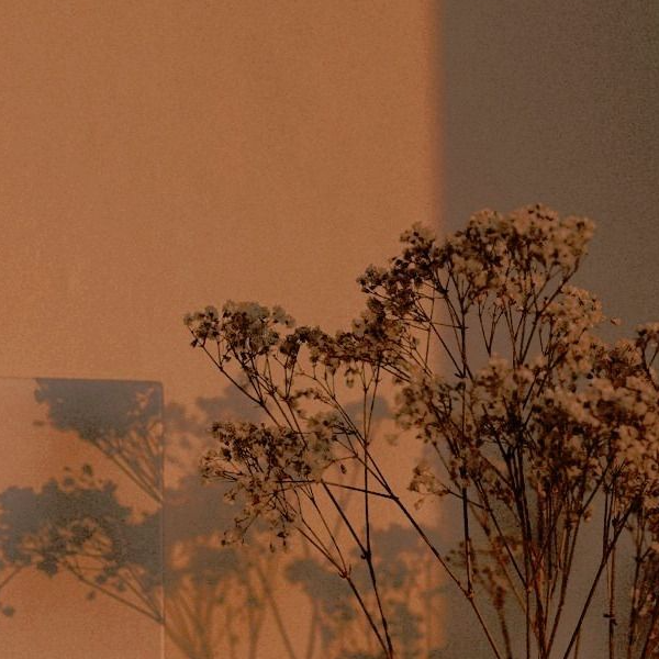 Produk mitro_store | Shopee Indonesia