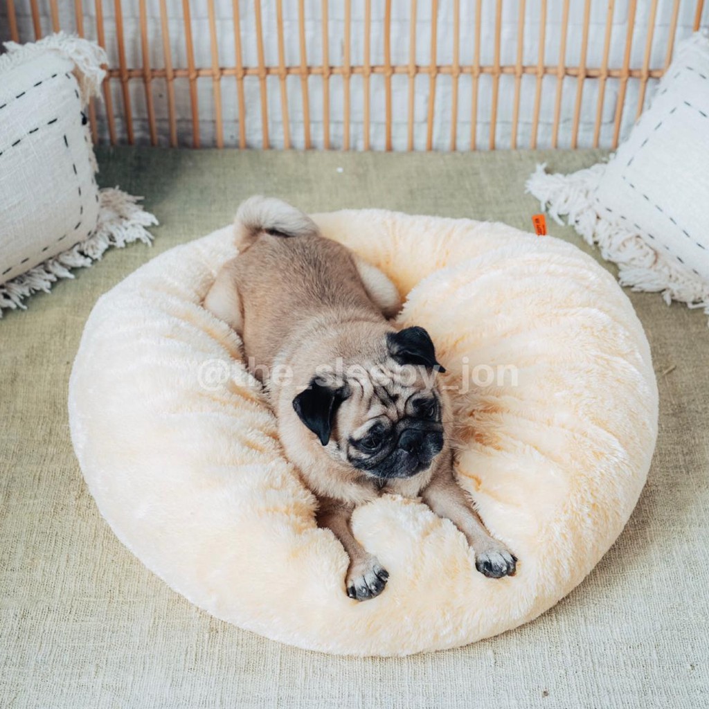 Produk Jon Dog Food & Shop | Shopee Indonesia