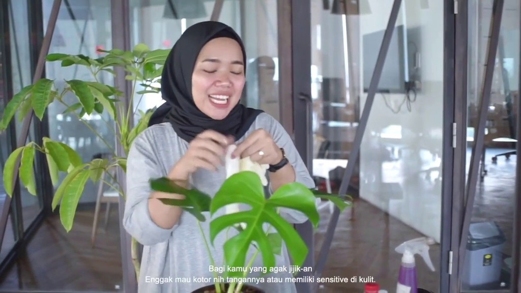 Toko Online Nanem Taneman Official Shop | Shopee Indonesia