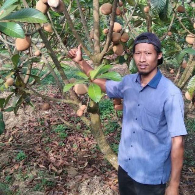 Produk mahda_farm | Shopee Indonesia