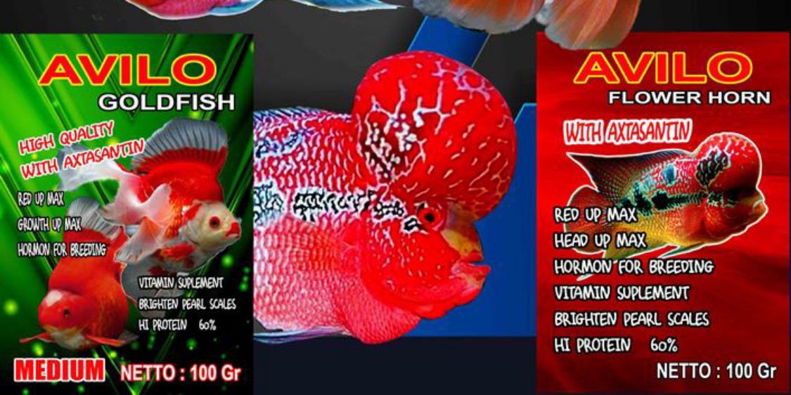 Produk Avilo_collection | Shopee Indonesia