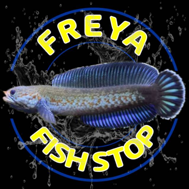Produk Freya Fish Stop | Shopee Indonesia