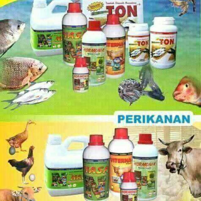 Produk nasa.official | Shopee Indonesia