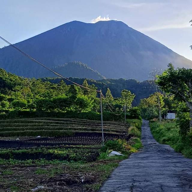 Produk SEMERU OFFICIAL SHOP | Shopee Indonesia