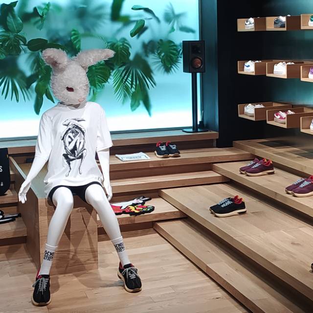 Produk Modular Store By COMPASS | Shopee Indonesia