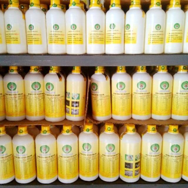 Produk PANDAWA LIMA BEKASI | Shopee Indonesia