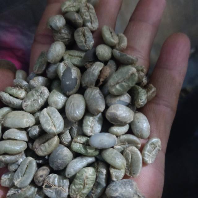 Produk Rifqi Flower | Shopee Indonesia