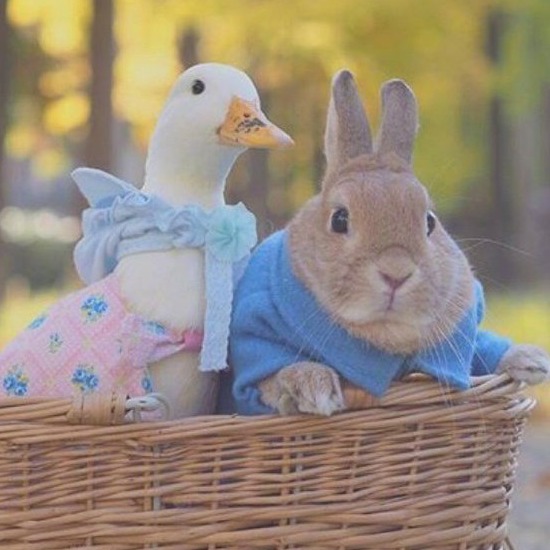 Produk ONE TO ONE | Shopee Indonesia