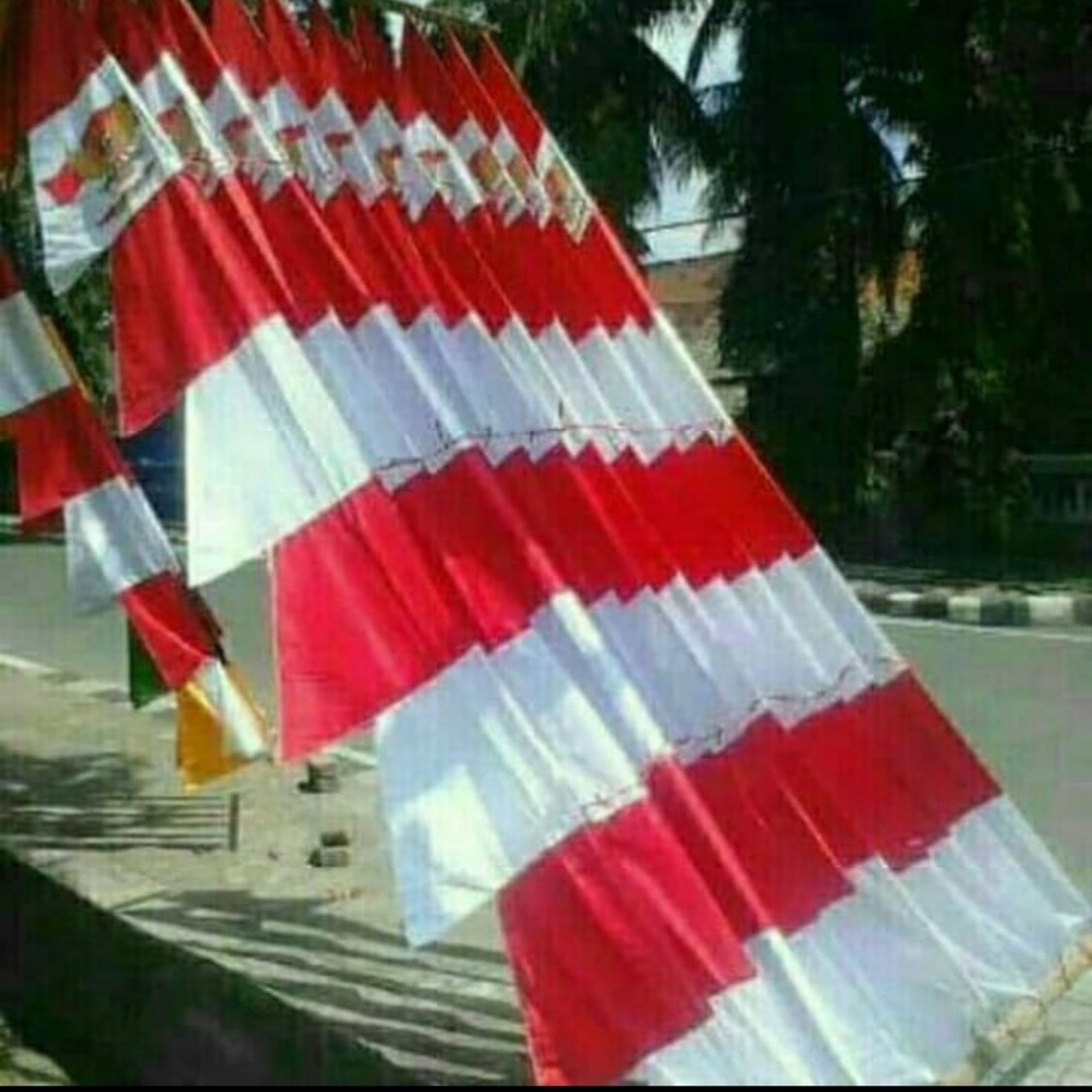 Produk Family Bendera | Shopee Indonesia