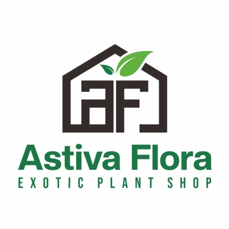 Produk Astiva Flora | Shopee Indonesia
