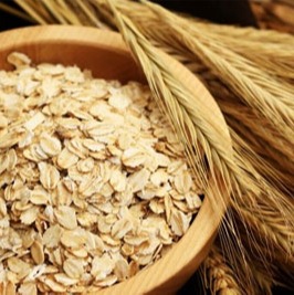 Toko Online Harletté Official Shop | Shopee Indonesia