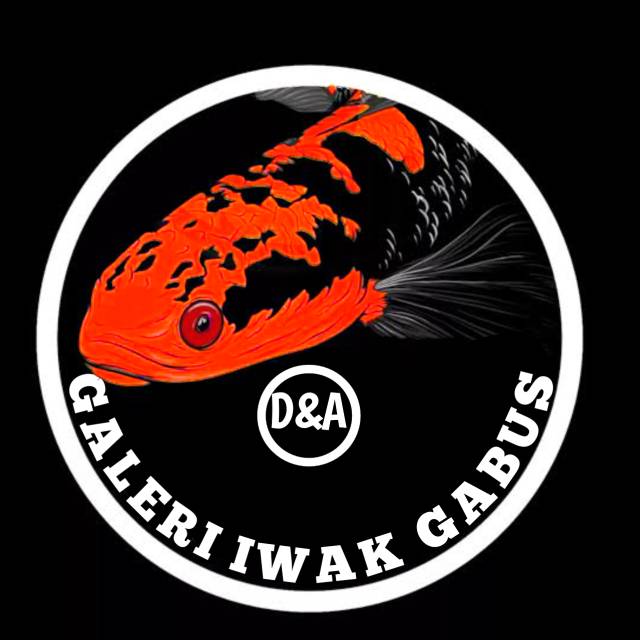 Produk D&A galeri ikan gabus | Shopee Indonesia
