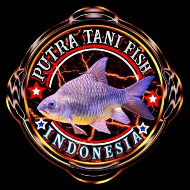 Produk putra Tani Fish | Shopee Indonesia