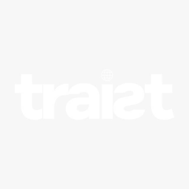 Produk traist world | Shopee Indonesia