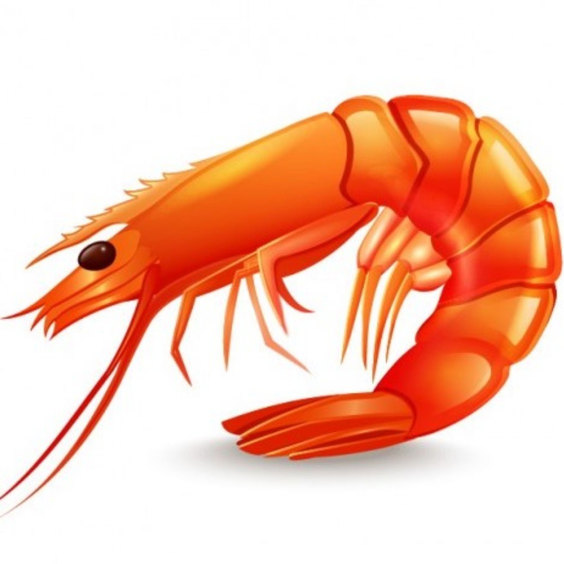 Produk Trijo_08 | Shopee Indonesia