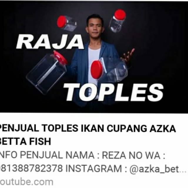 Produk Azka Betta Fish | Shopee Indonesia