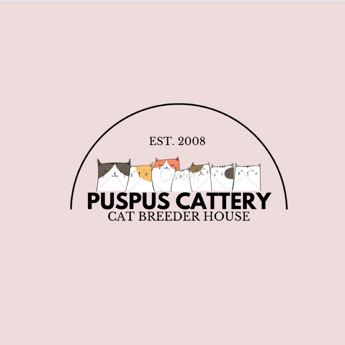 Produk Puspus Cattery | Shopee Indonesia