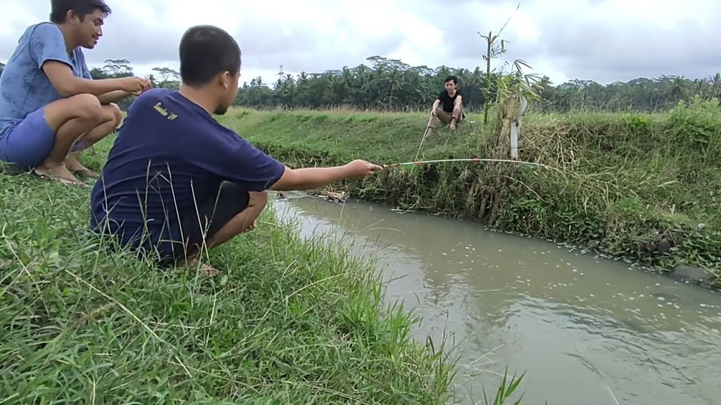 Produk Mancing Wader Online | Shopee Indonesia