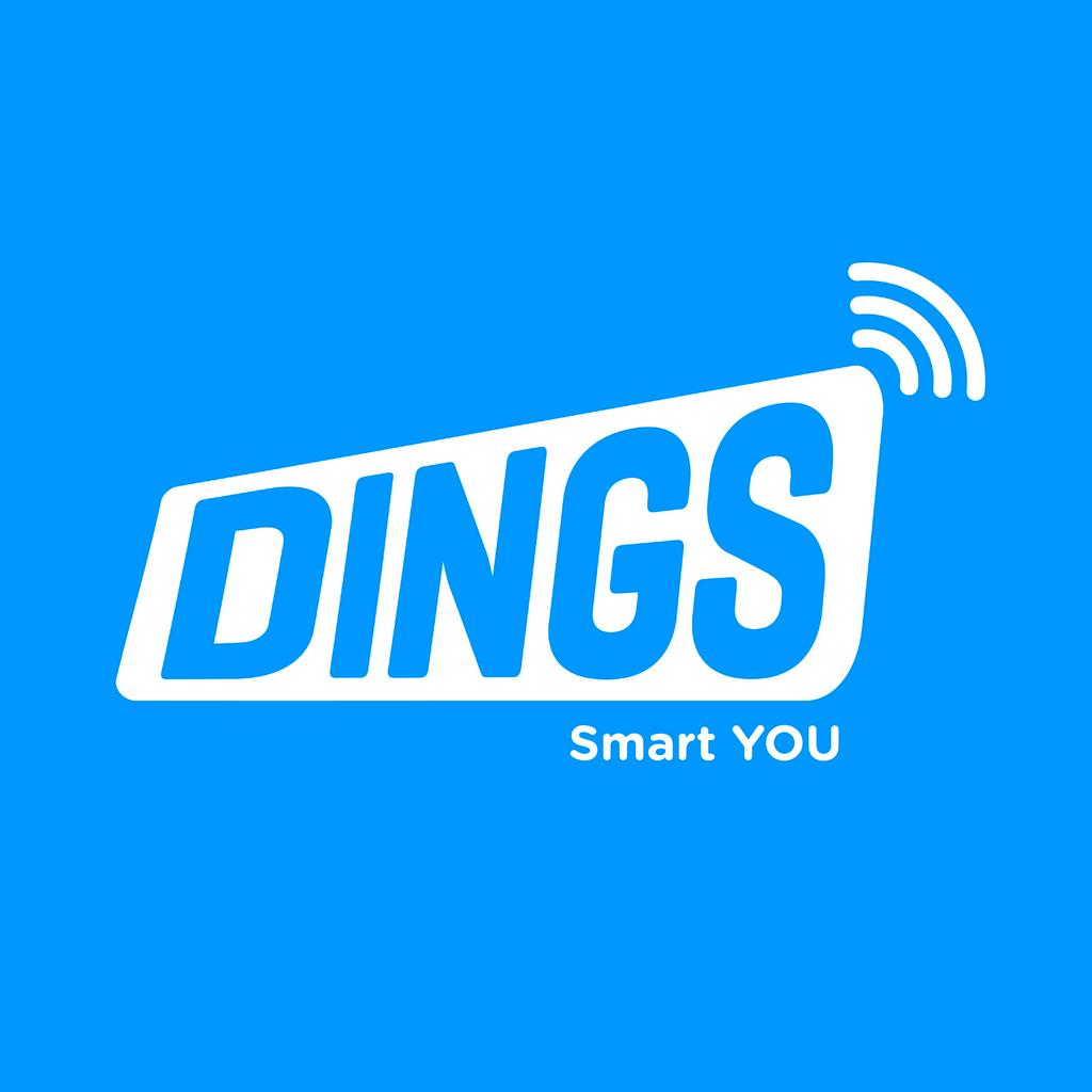 Toko Online Dings Indonesia Official Shop | Shopee Indonesia