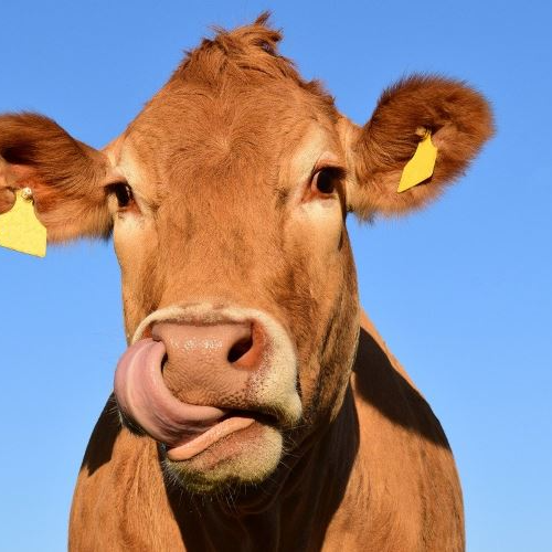 Produk Abi_Farm | Shopee Indonesia