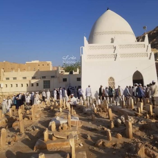 Produk hafis_com | Shopee Indonesia