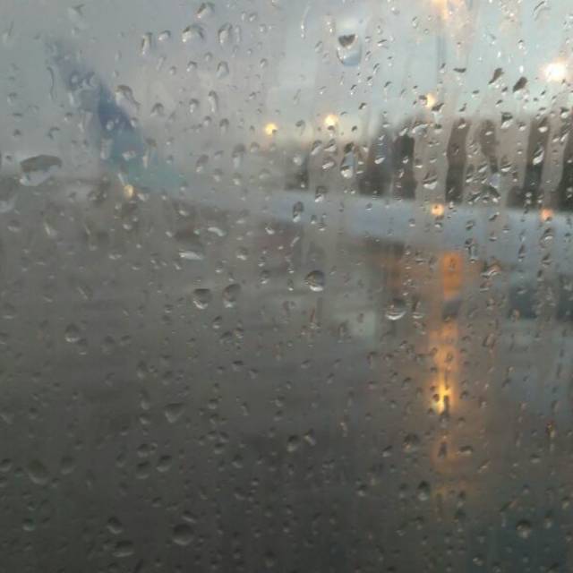 Produk papidy | Shopee Indonesia