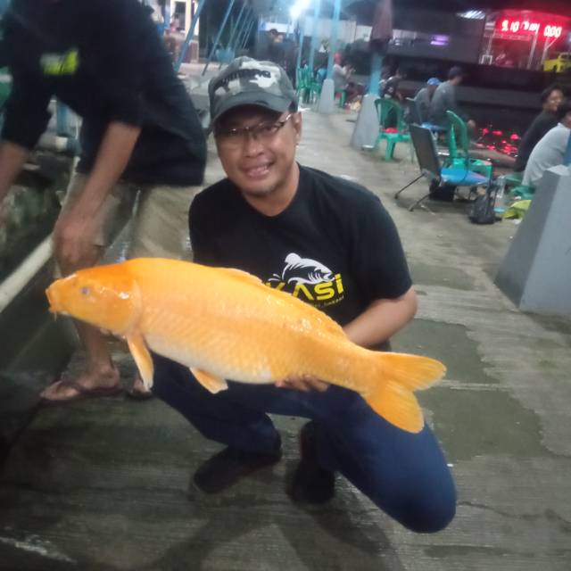 Produk Tanaya Fishing | Shopee Indonesia
