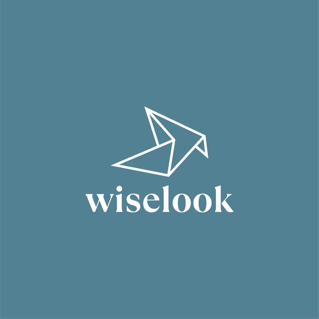 Produk Wiselook Official Store | Shopee Indonesia