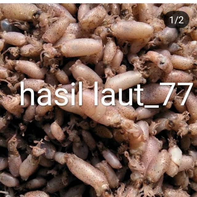 Produk hasil_laut_77 | Shopee Indonesia