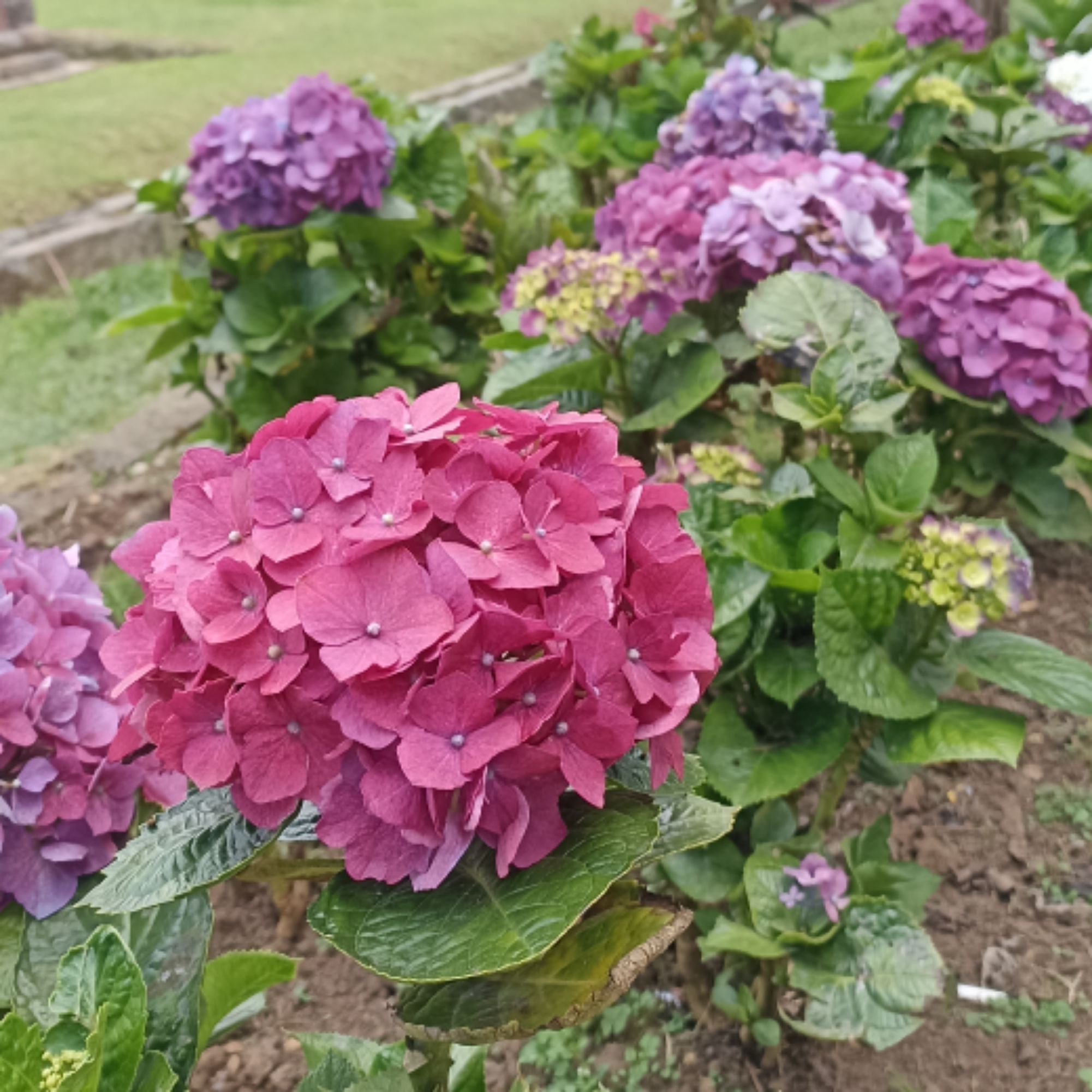 Produk Laeli Preloved | Shopee Indonesia